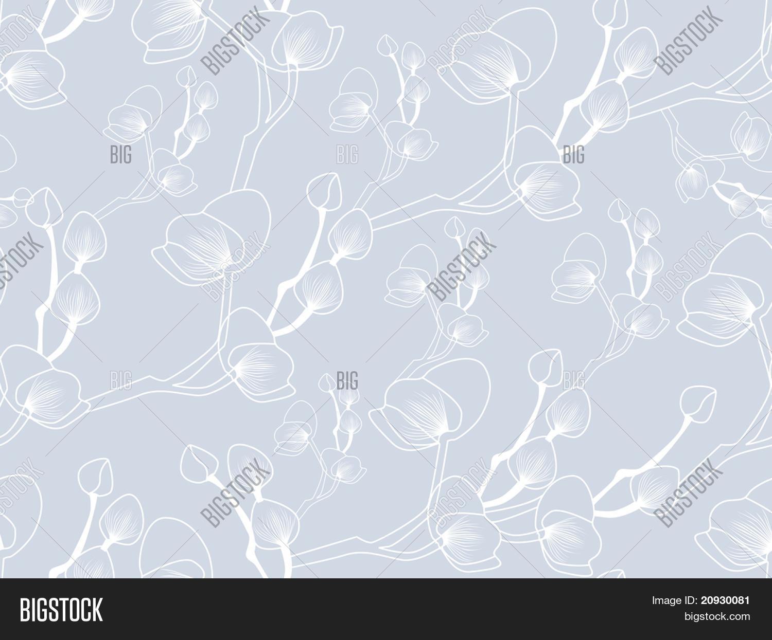 Grey Background Vector & Photo (Free Trial) | Bigstock