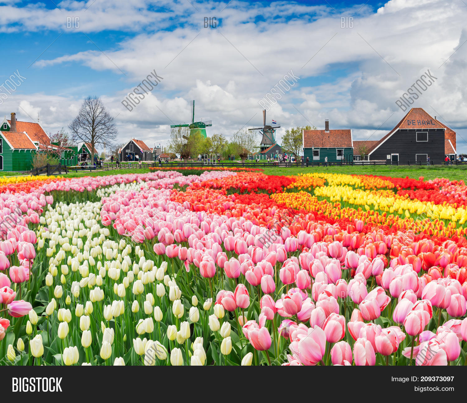 Rural Dutch Country Image & Photo (Free Trial) | Bigstock