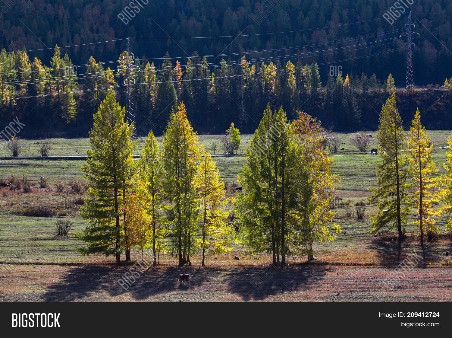 Views Landscapes Altay Image & Photo (Free Trial) | Bigstock