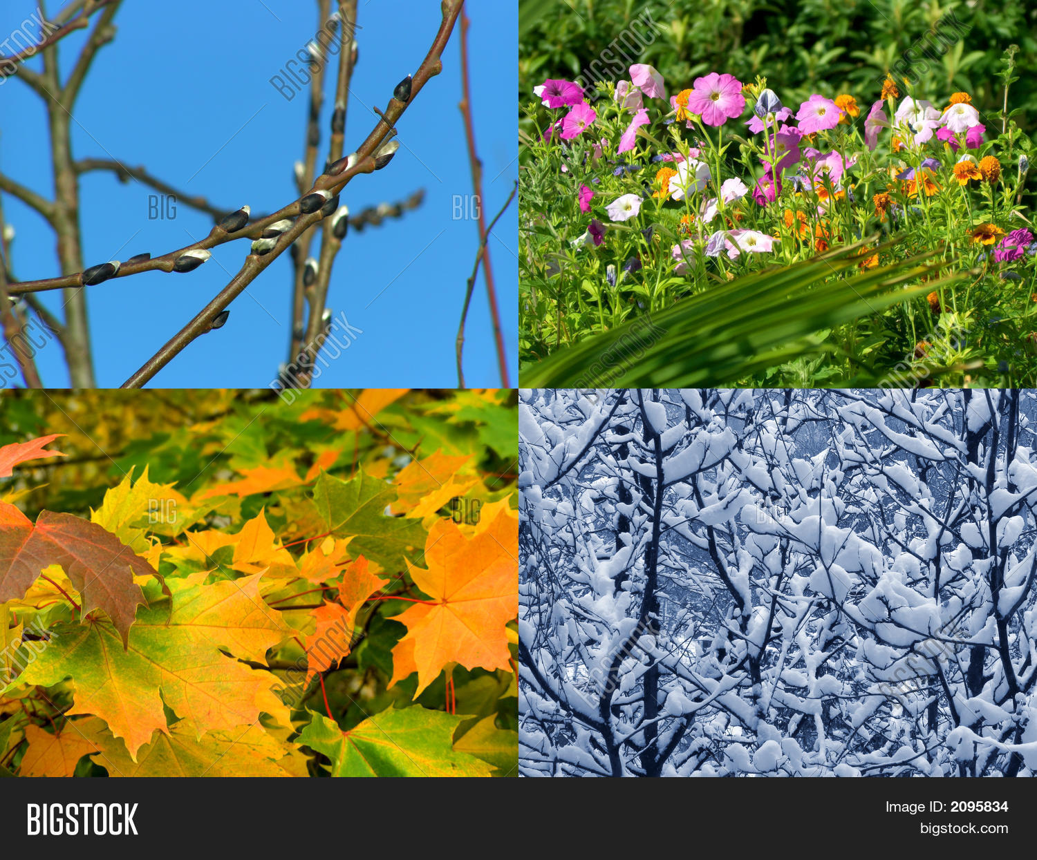 Seasons Background Image & Photo (Free Trial) | Bigstock