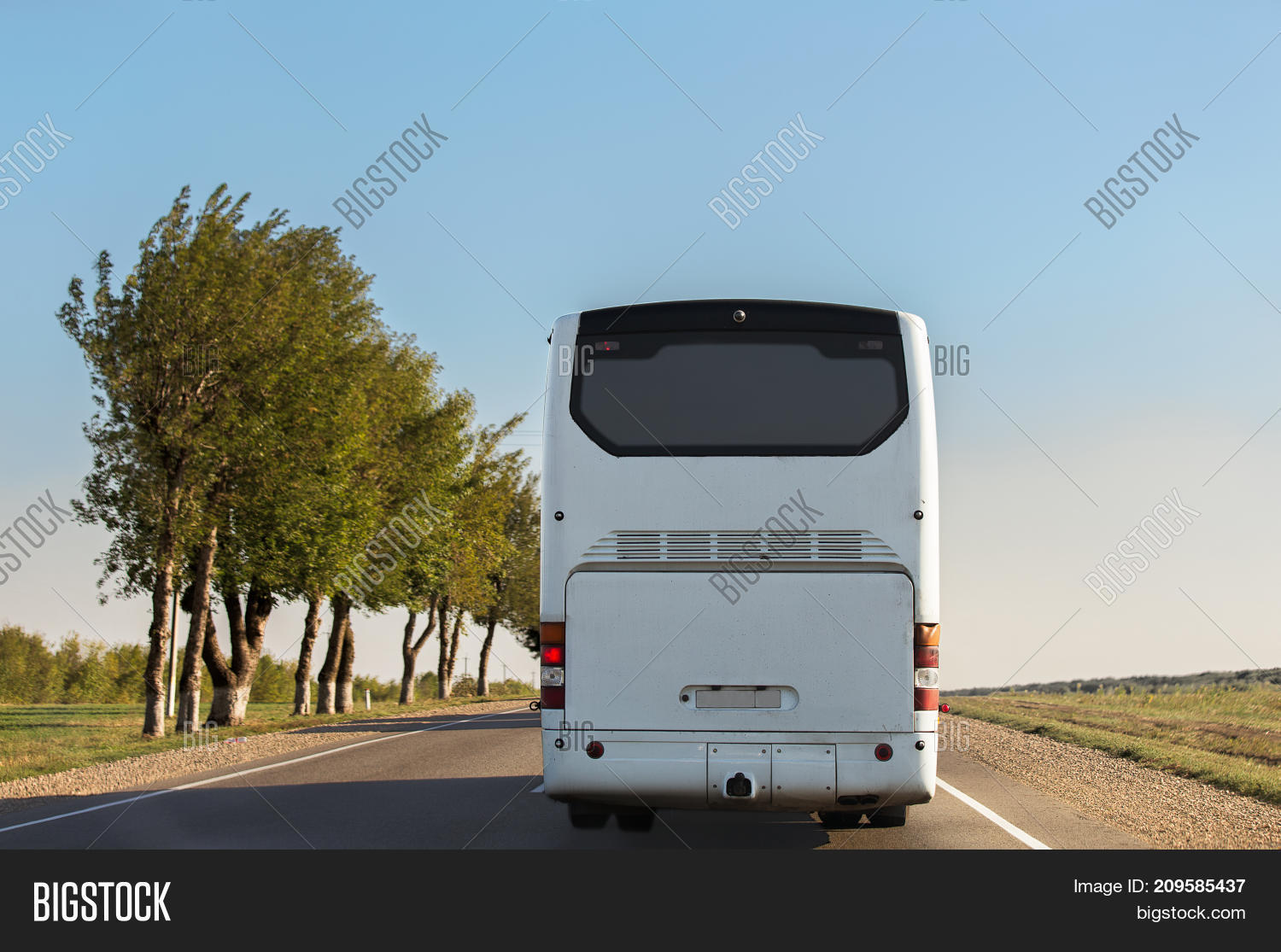 White Bus Driving Image & Photo (Free Trial) | Bigstock