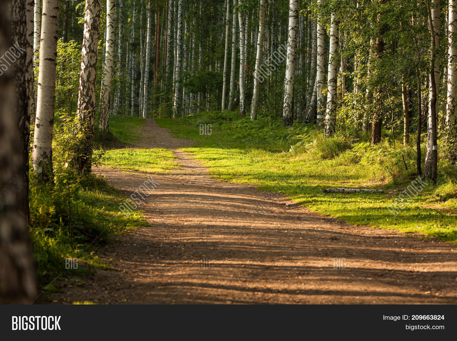 Relaxing Nature Backgrounds