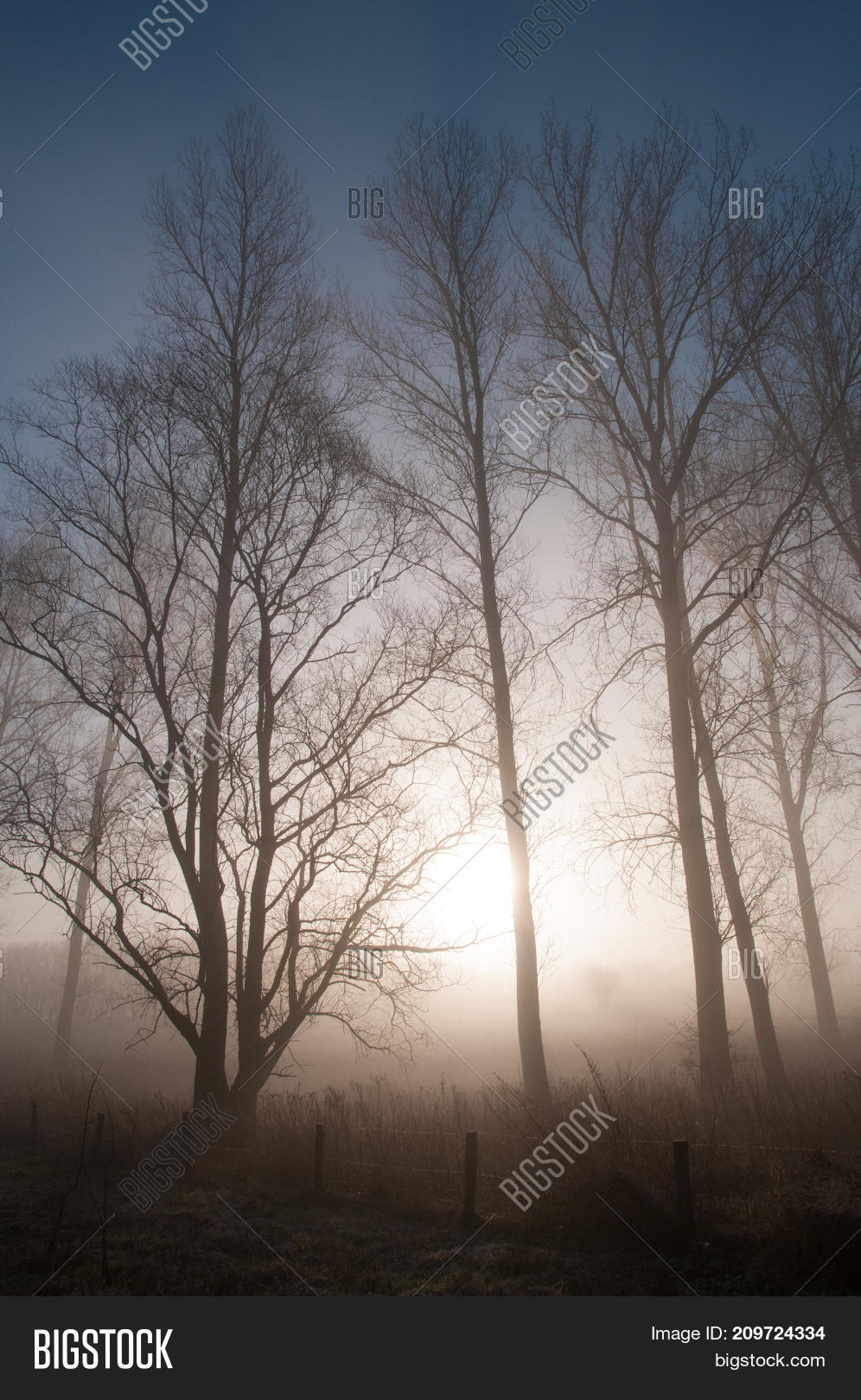 Thin Fog Covering This Image & Photo (Free Trial) | Bigstock