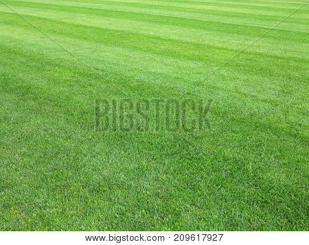 Perfect Striped Lawn Image & Photo (Free Trial) | Bigstock
