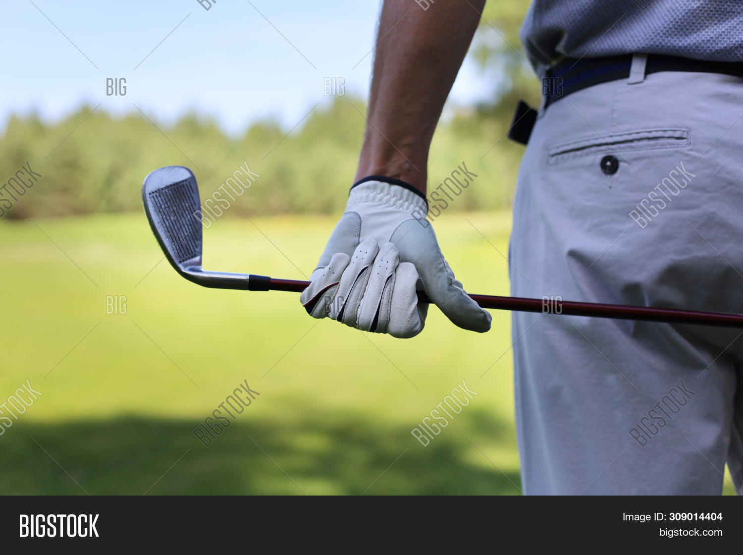 Back View Male Golf Image & Photo (Free Trial) | Bigstock