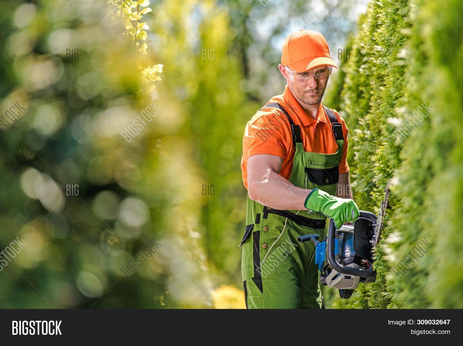 Professional Gardener Image & Photo (Free Trial) | Bigstock