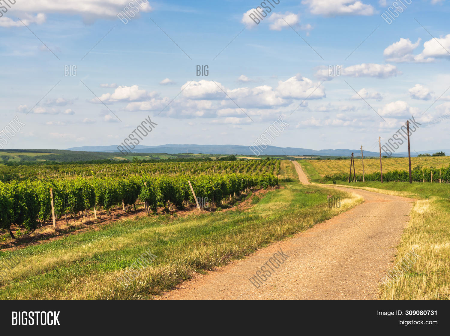 Countryside Image & Photo (Free Trial) | Bigstock