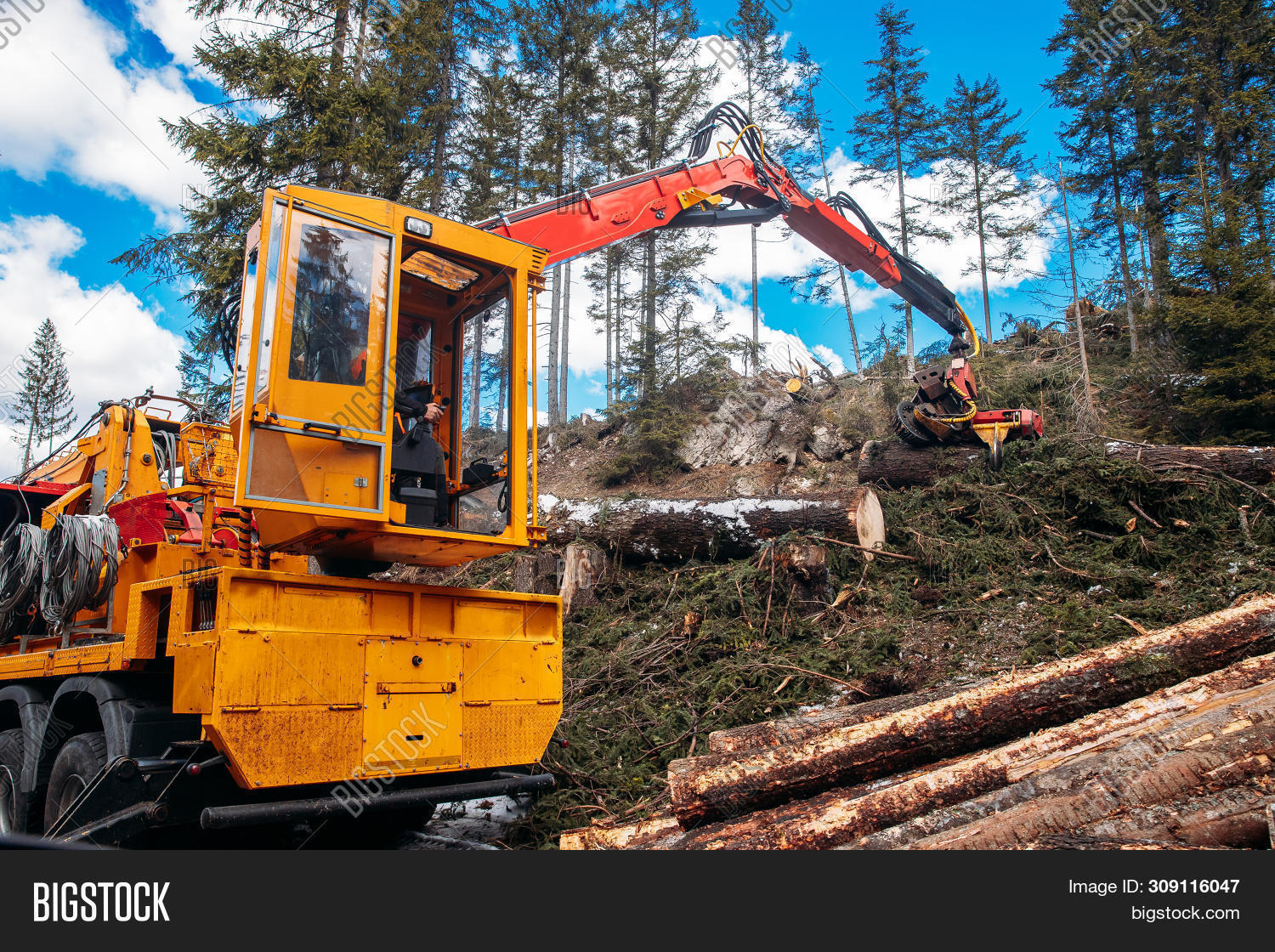 Woodcutter Log Truck Image & Photo (Free Trial) | Bigstock