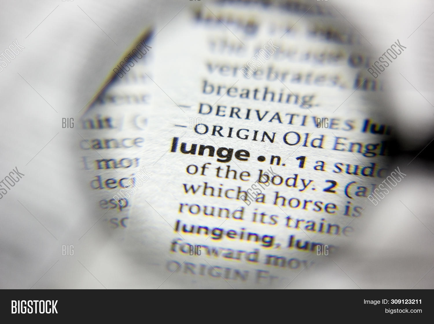Word Phrase Lunge Image & Photo (Free Trial) | Bigstock