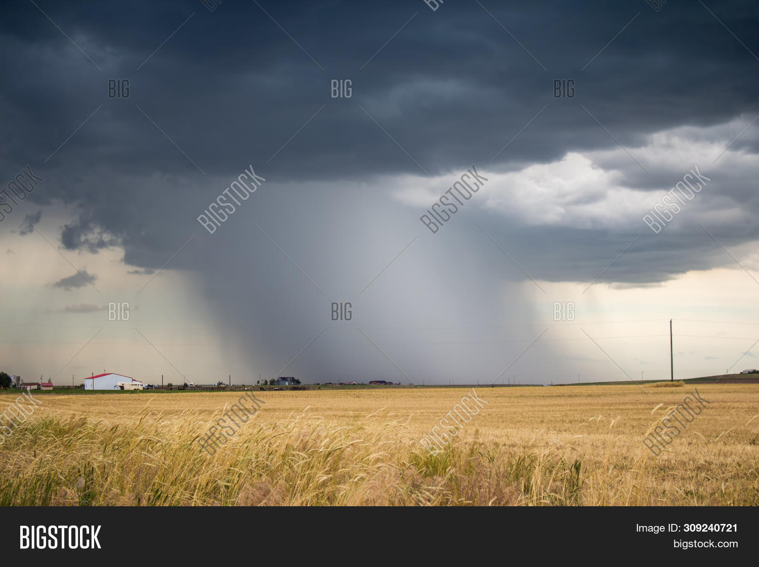 Intense Shaft Rain Image & Photo (Free Trial) | Bigstock