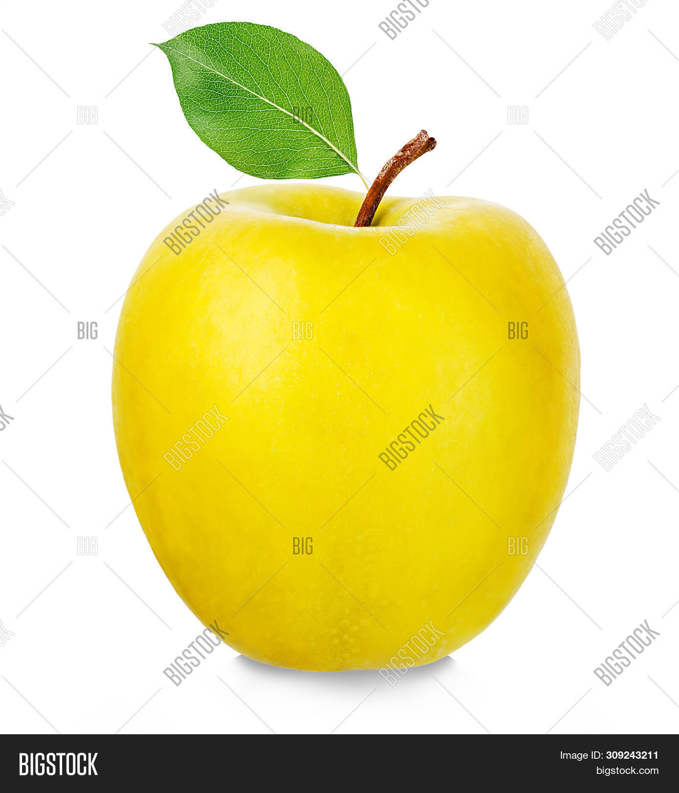 Ripe Yellow Apple Image & Photo (Free Trial) | Bigstock