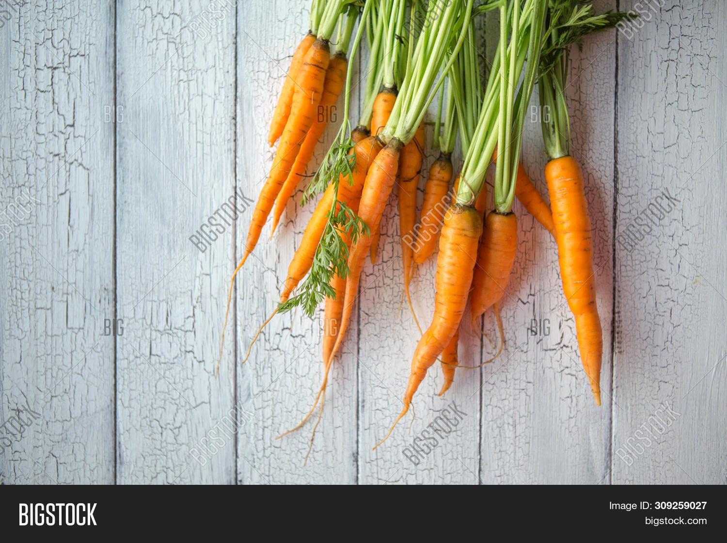 Carrots. Bunch Fresh Image & Photo (Free Trial) | Bigstock