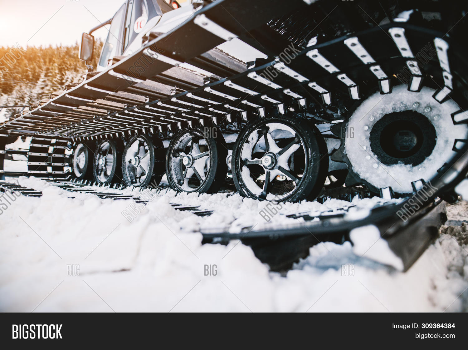 Close View Special Image & Photo (Free Trial) | Bigstock