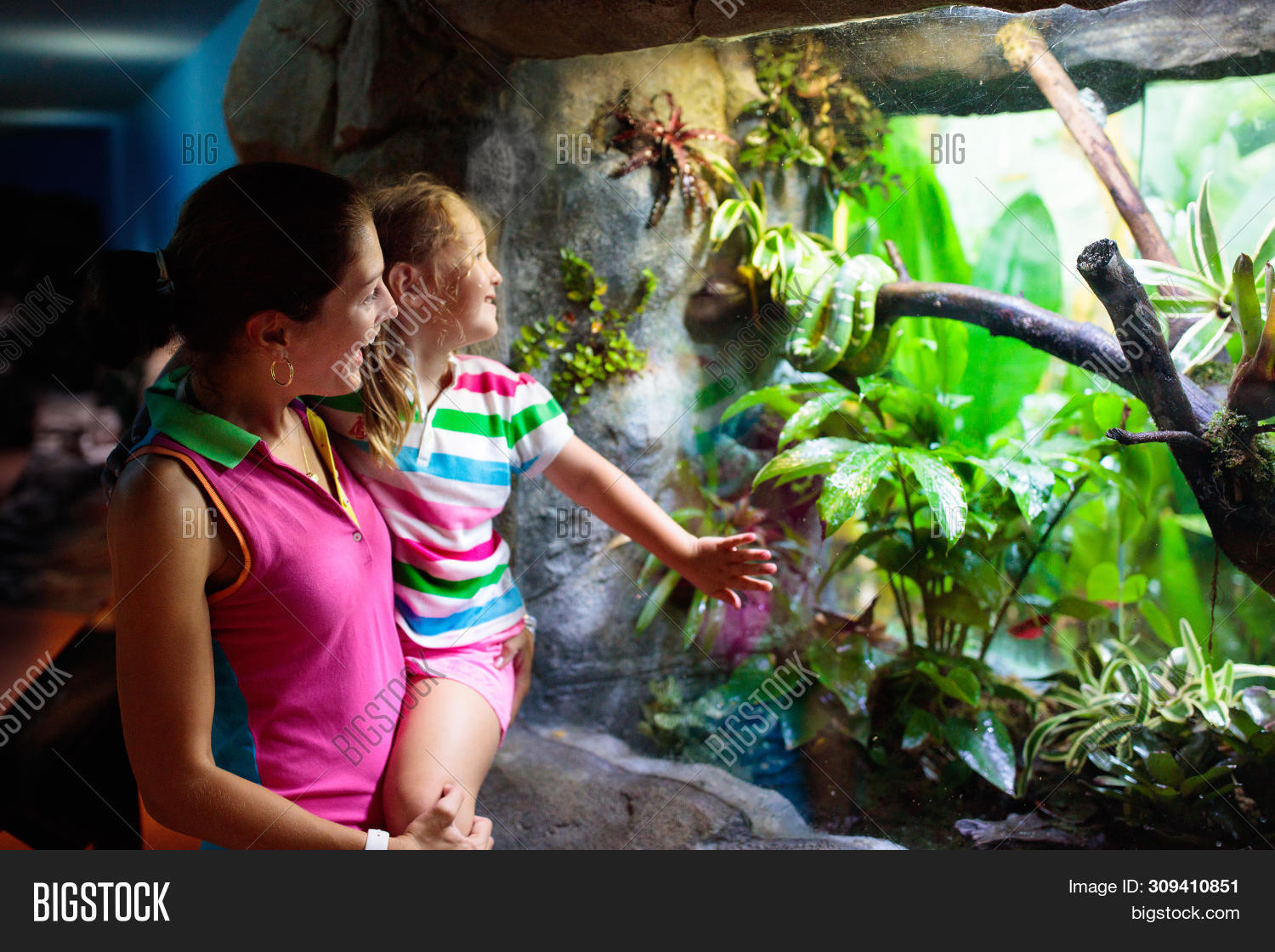 Family Watching Snake Image & Photo (Free Trial) | Bigstock