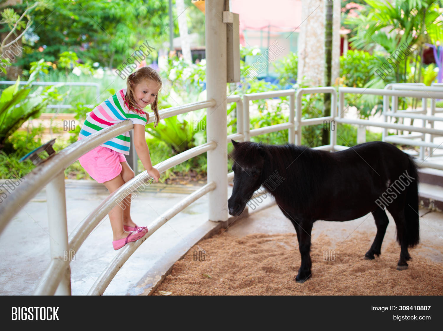 Little Girl Riding Image & Photo (Free Trial) | Bigstock