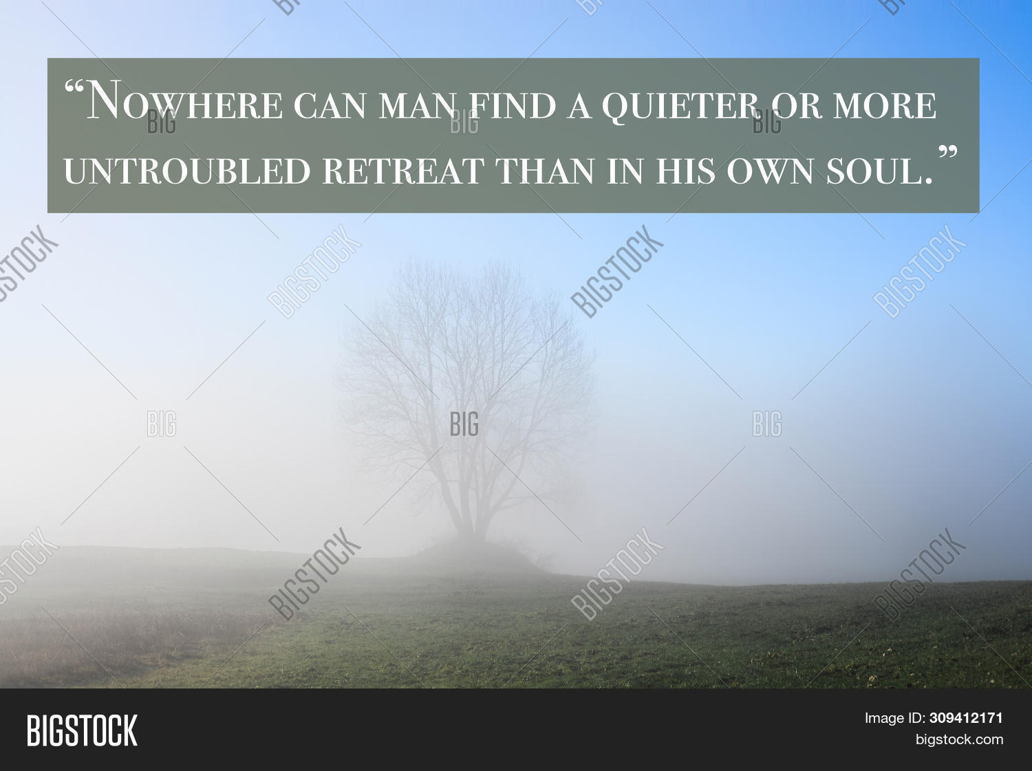 Wise Quote By Ancient Image & Photo (Free Trial) | Bigstock
