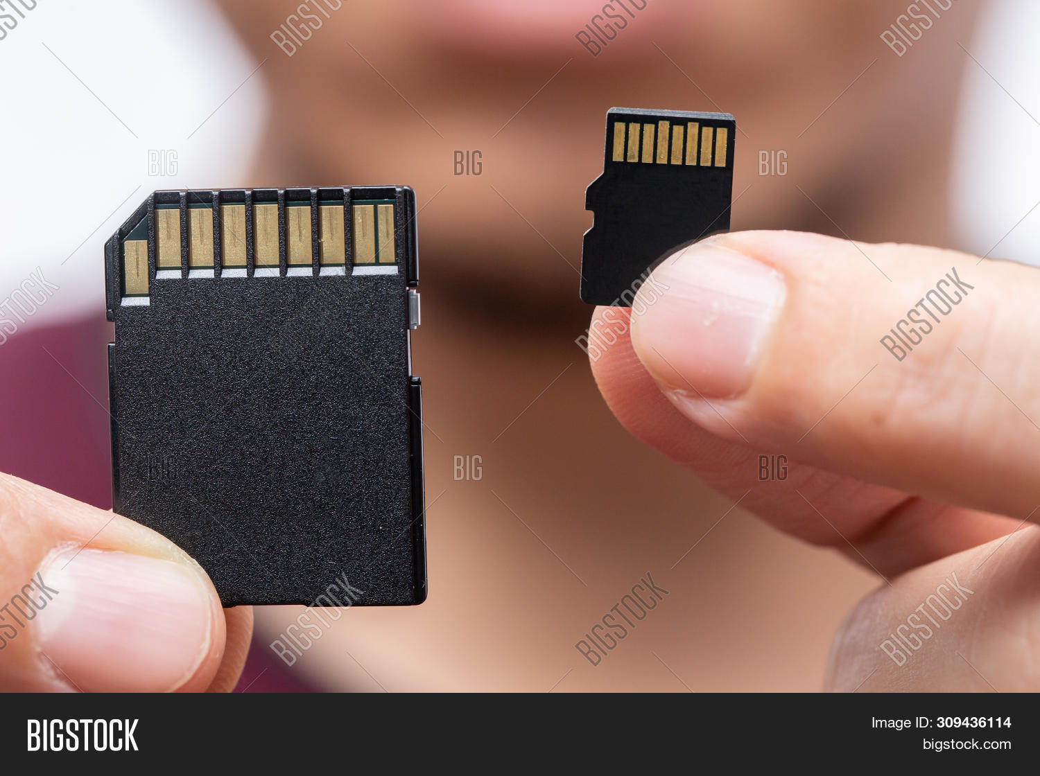 Digital Storage Memory Image & Photo (Free Trial) | Bigstock