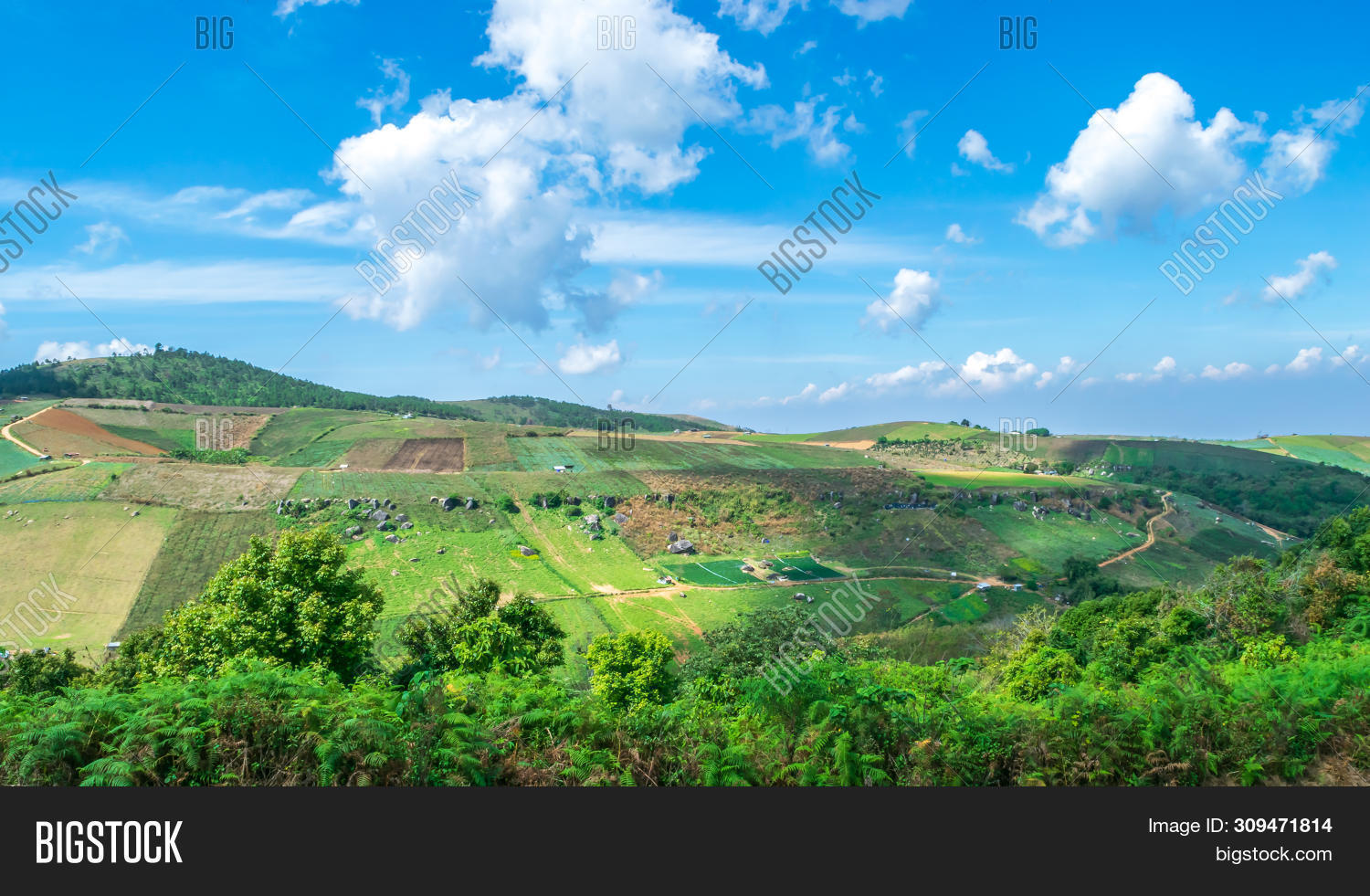 Green Mountain View Image & Photo (Free Trial) | Bigstock