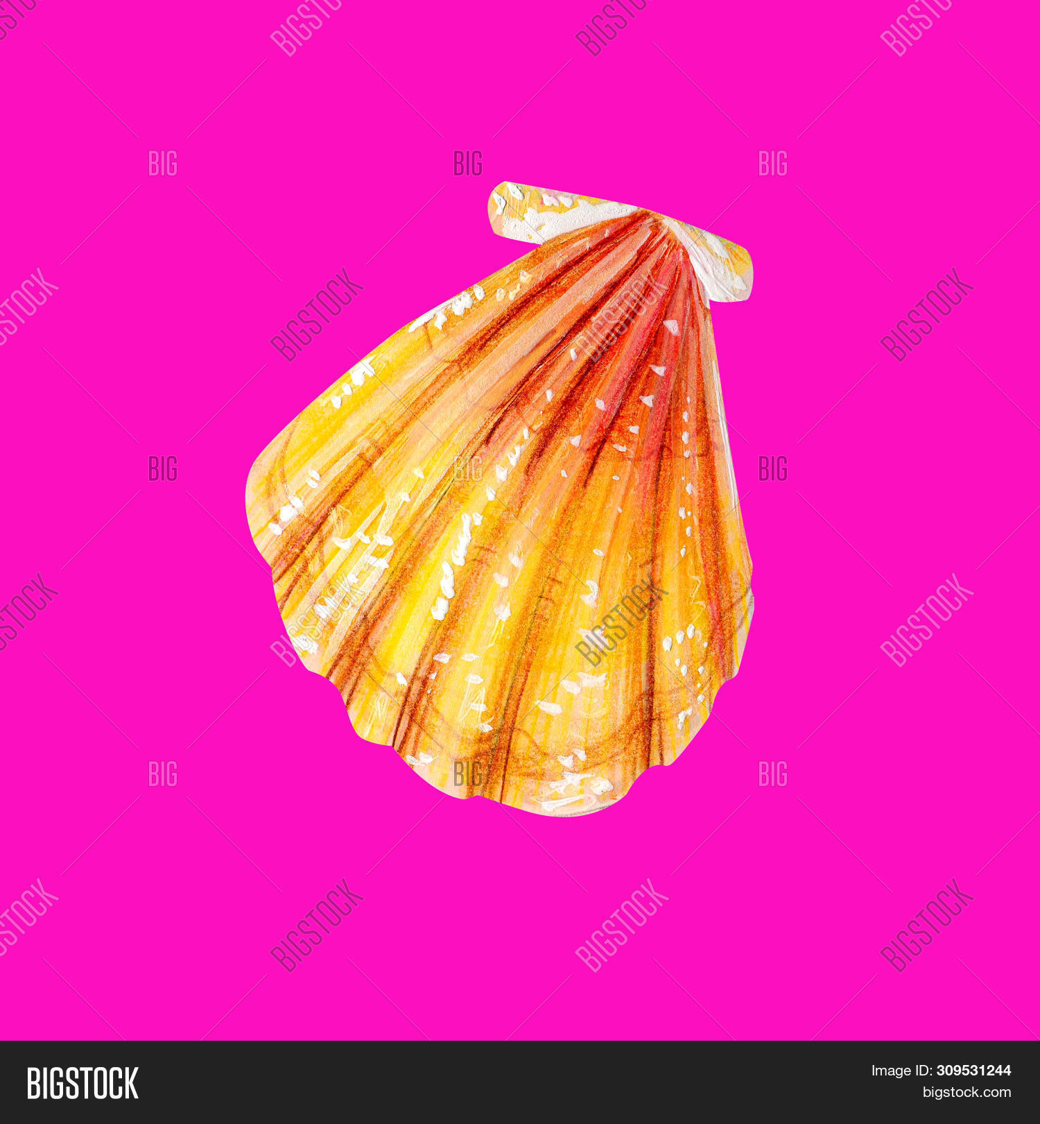 Yellow Sea Shell Image & Photo (Free Trial) | Bigstock