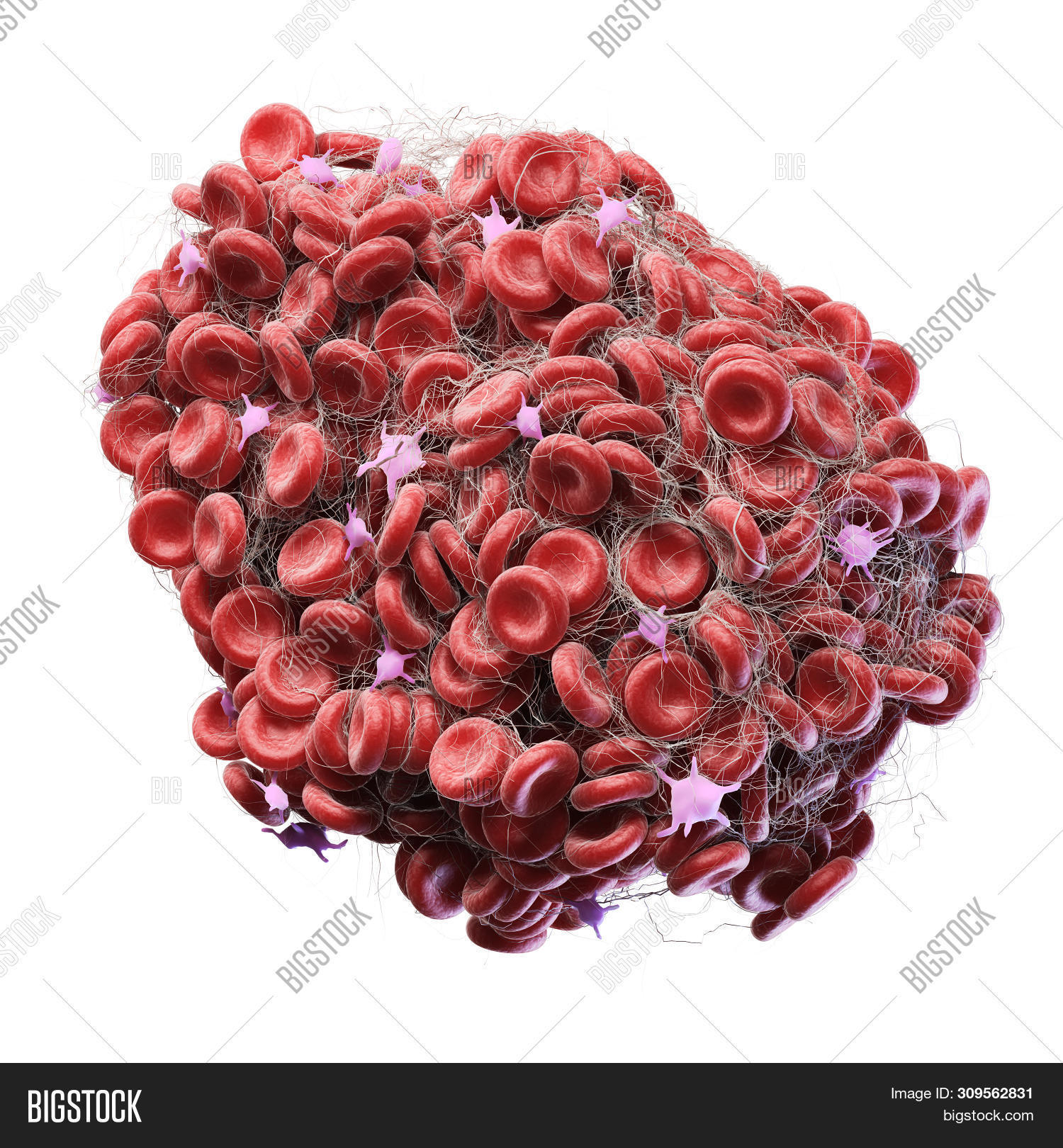 3d Rendered Medically Image & Photo (Free Trial) | Bigstock
