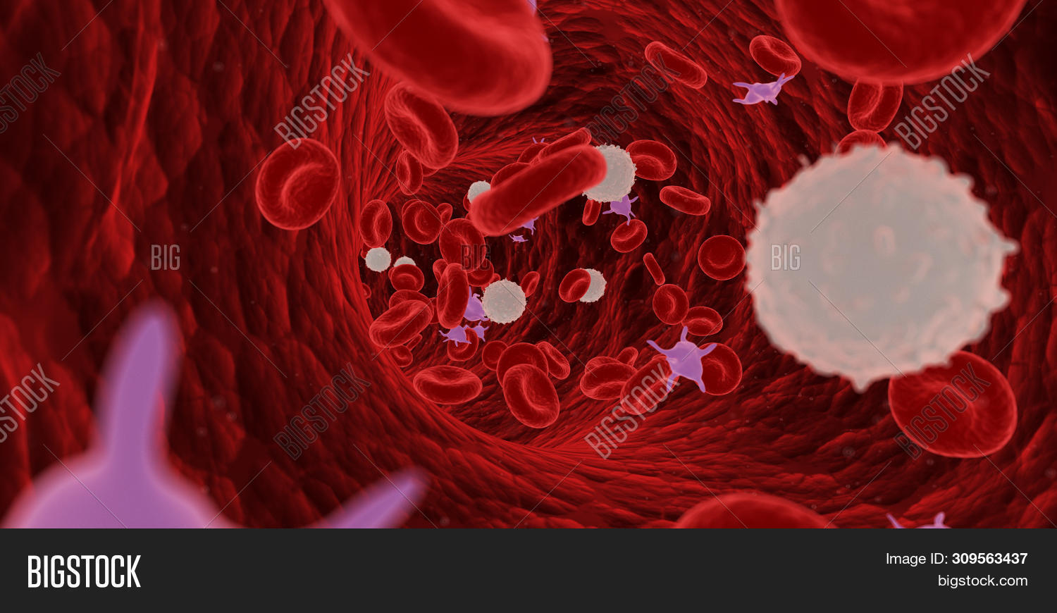 3d Rendered Medically Image & Photo (Free Trial) | Bigstock