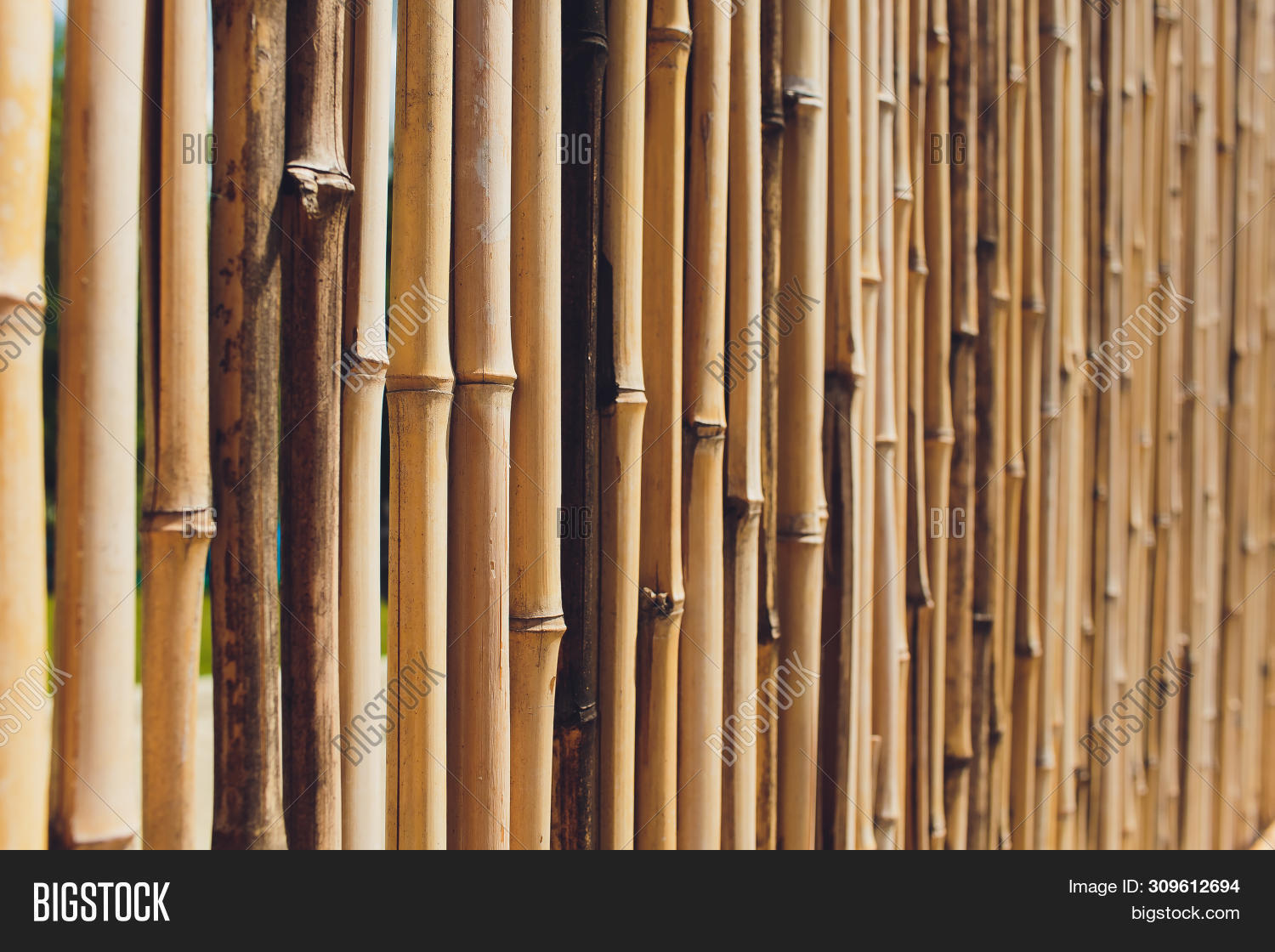 Old Brown Tone Bamboo Image & Photo (Free Trial) | Bigstock