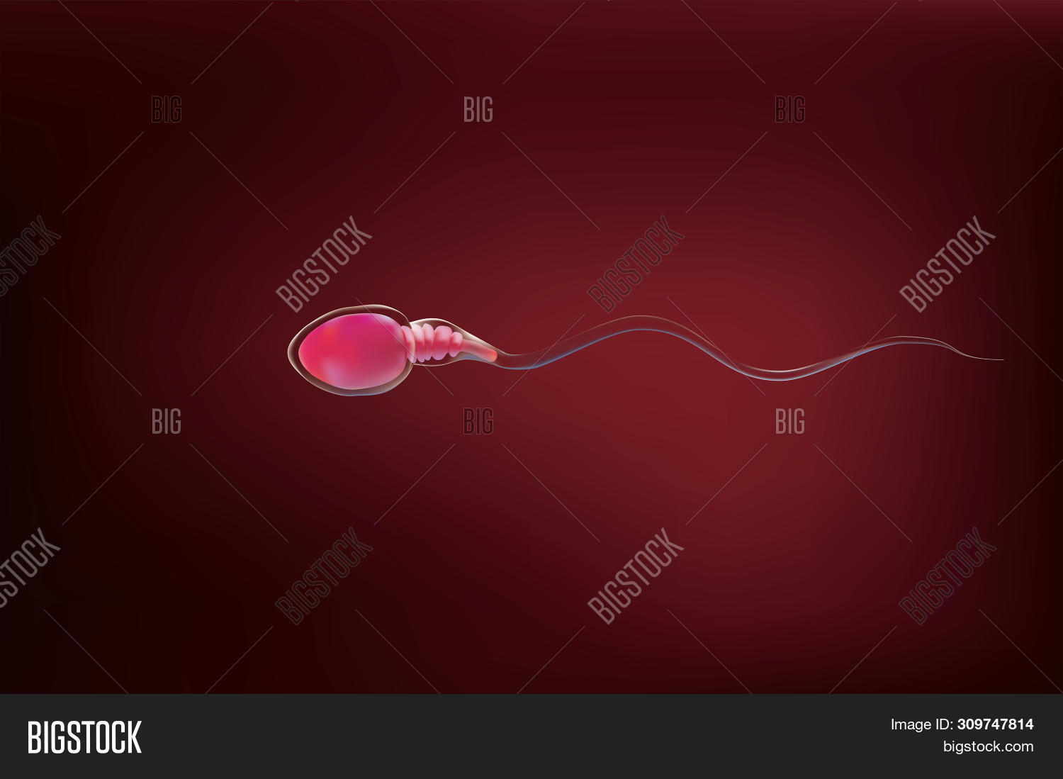 One Sperm Human Semen Image & Photo (Free Trial) | Bigstock
