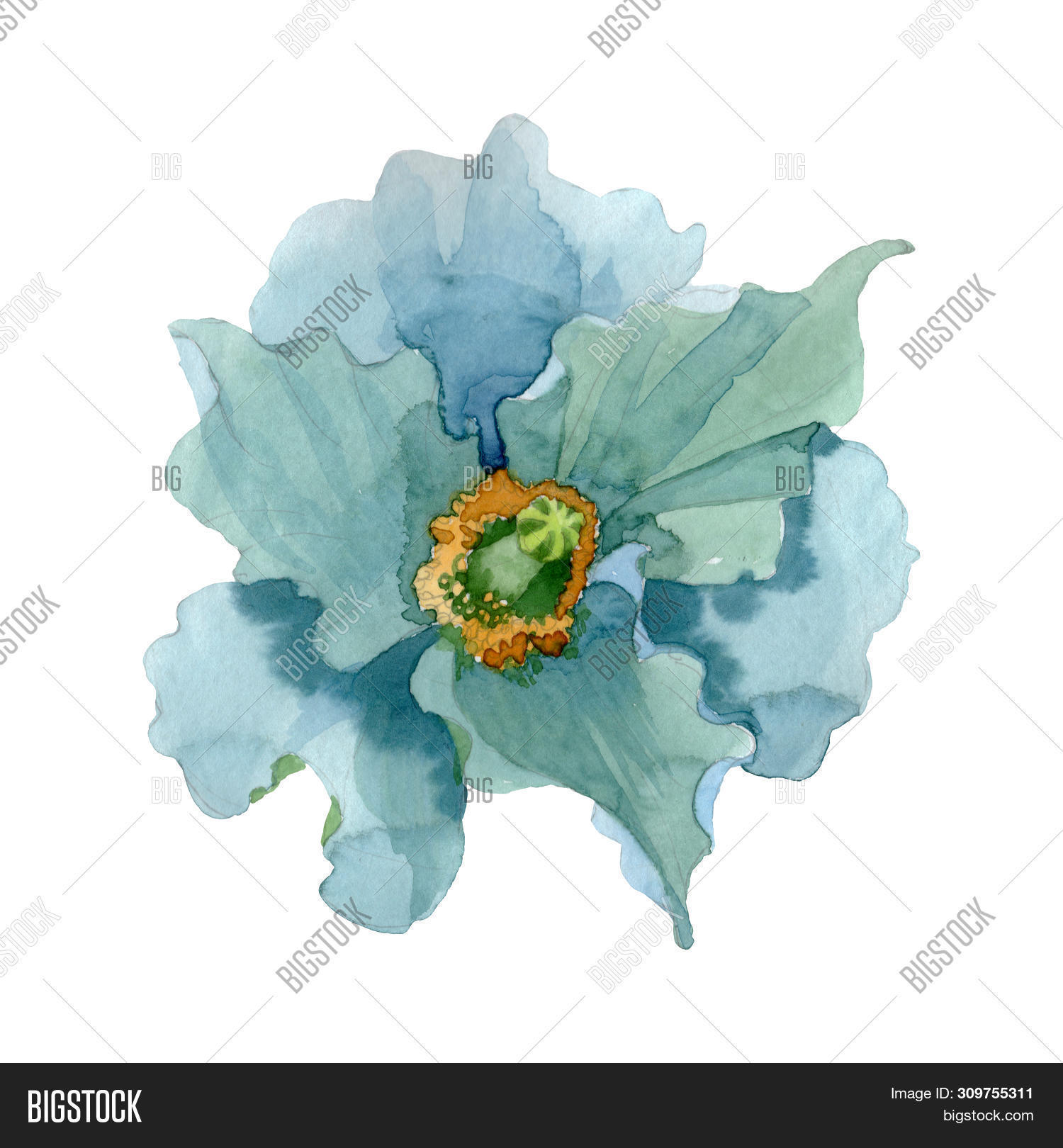Blue Poppy Floral Image & Photo (Free Trial) | Bigstock