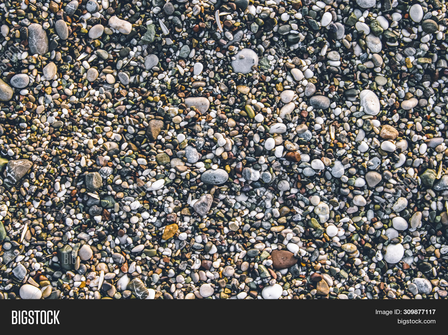 Beach Stone Pebbles. Image & Photo (Free Trial) | Bigstock
