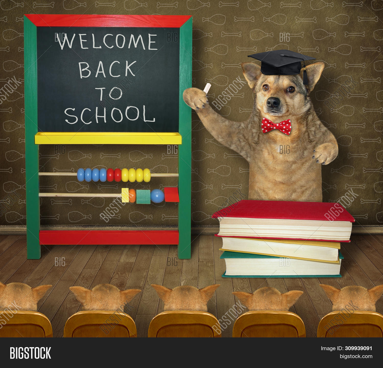 Dog Teacher Square Image & Photo (Free Trial) | Bigstock