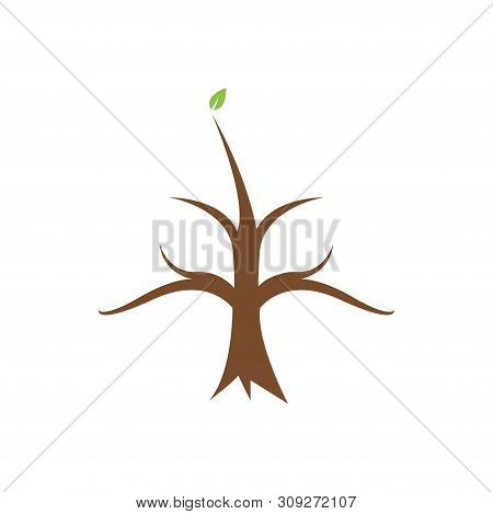 Tree Clip Art Graphic Vector & Photo (Free Trial) | Bigstock