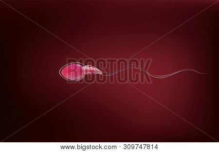 One Sperm Human Semen Image & Photo (Free Trial) | Bigstock