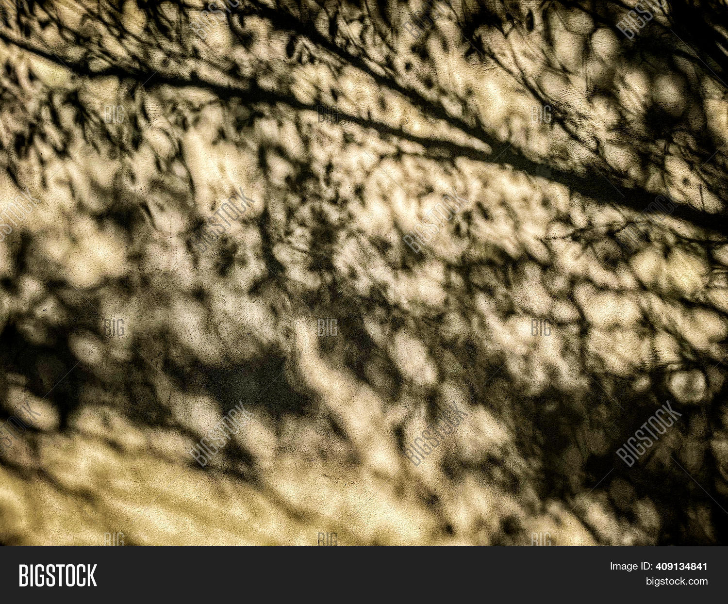 Abstract Shadow Image & Photo (Free Trial) | Bigstock