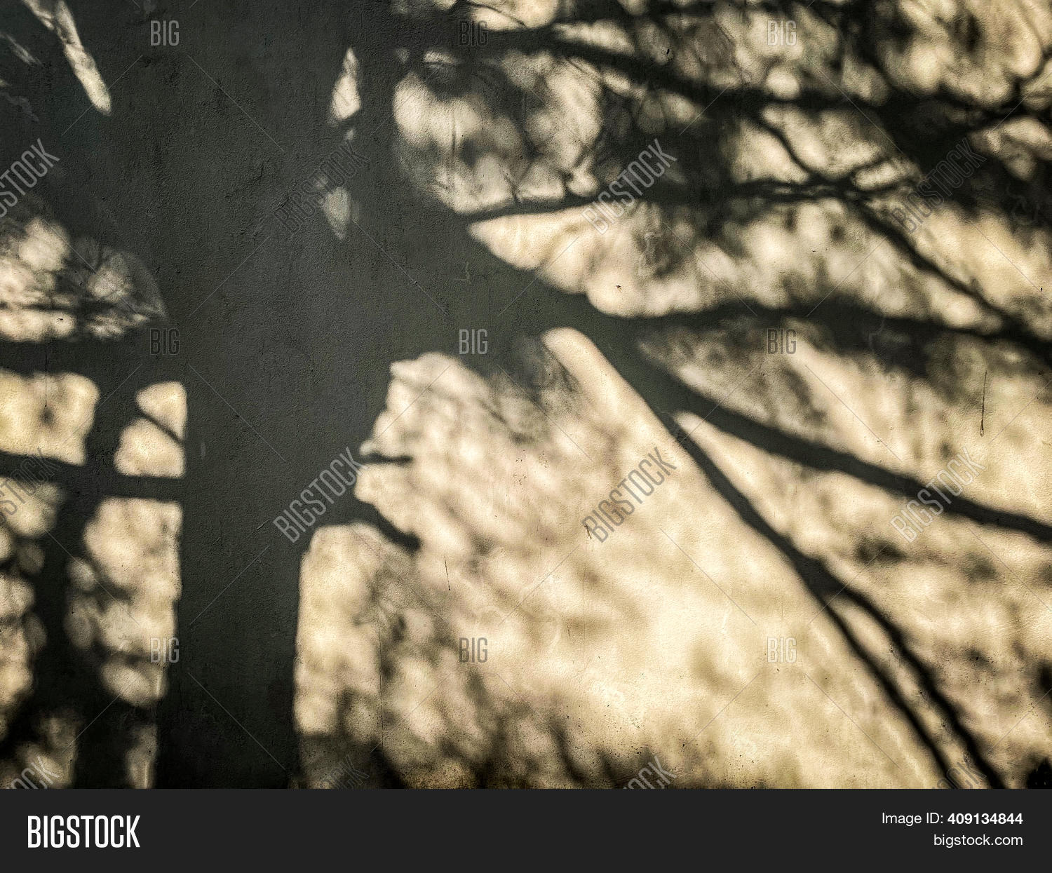 Abstract Shadow Image & Photo (Free Trial) | Bigstock