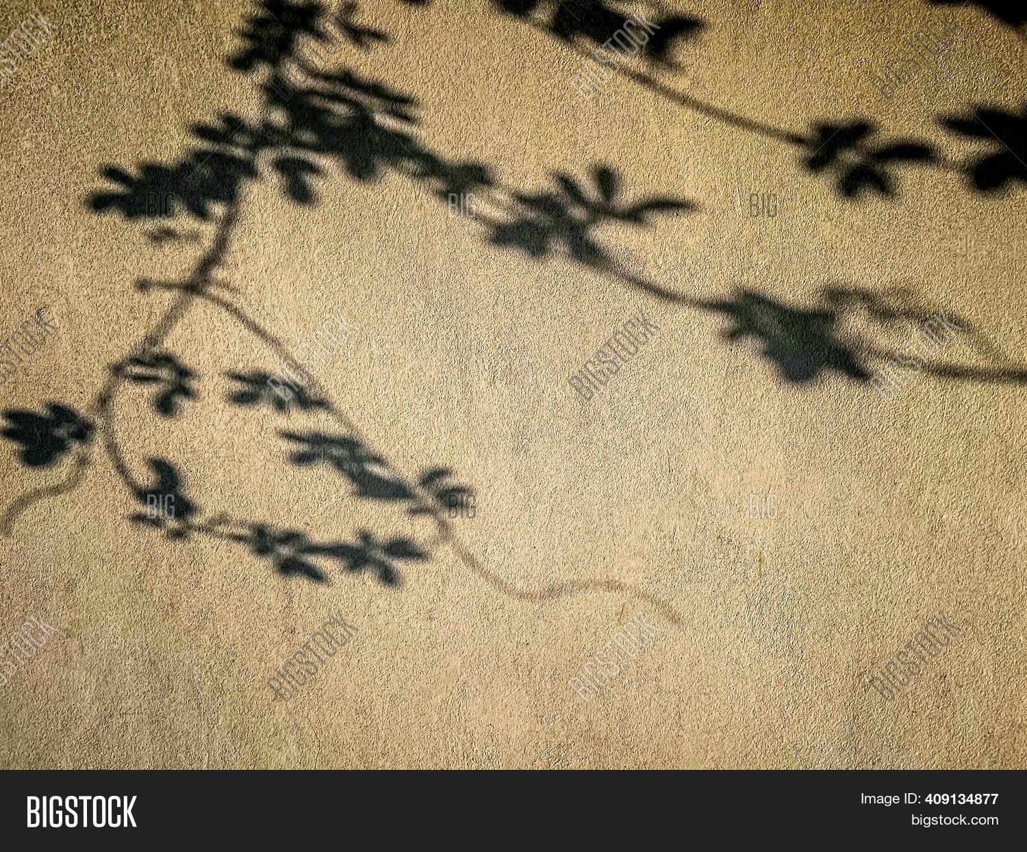 Abstract Shadow Image & Photo (Free Trial) | Bigstock