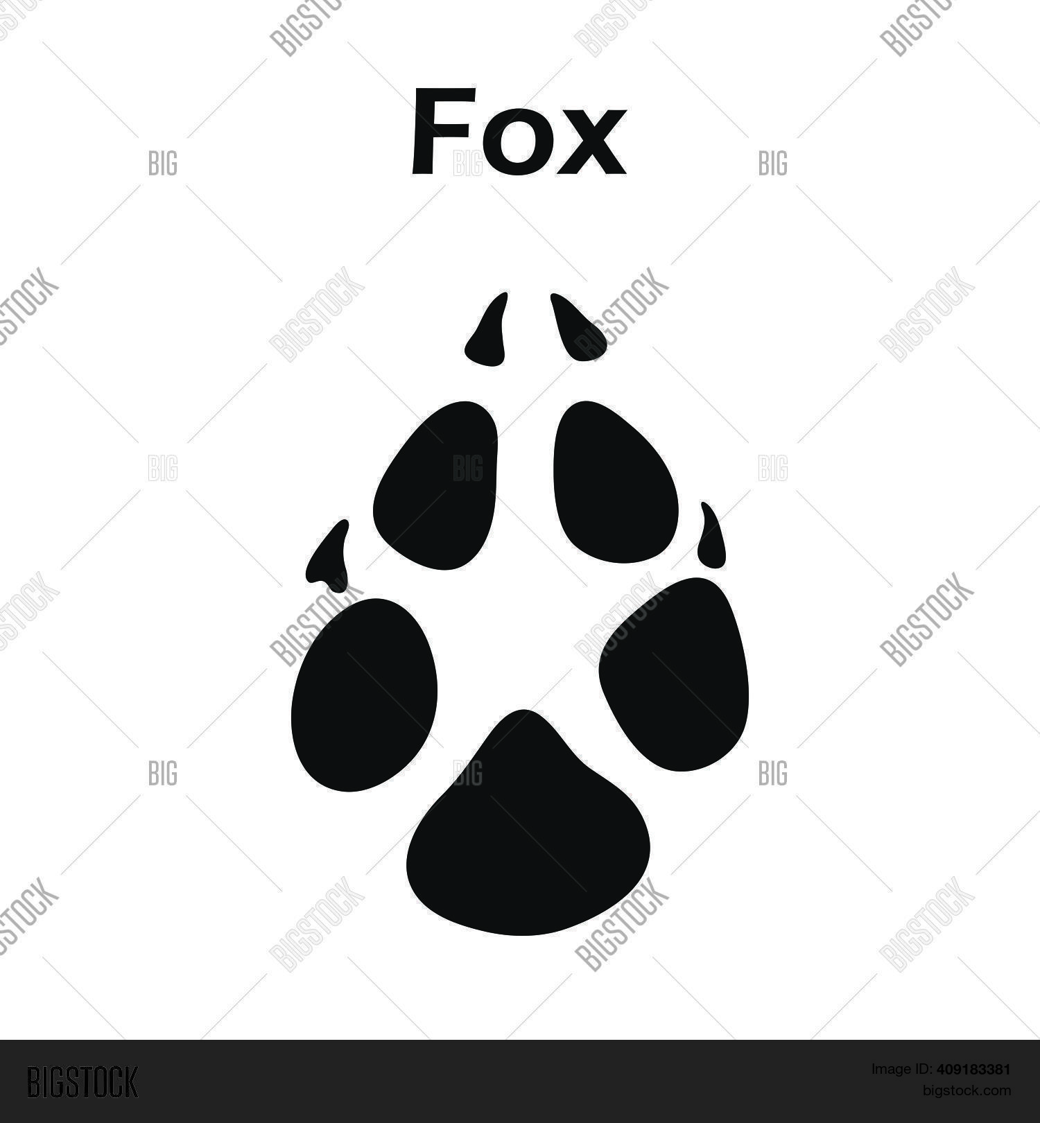 Fox Footprint. Black Vector & Photo (Free Trial) | Bigstock