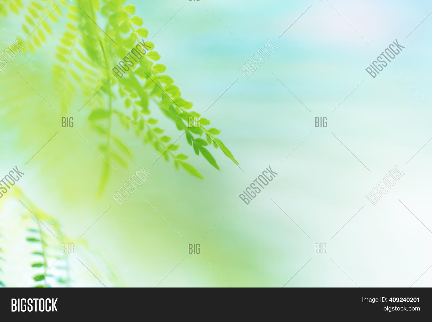 Soft Leaf Background. Image & Photo (Free Trial) | Bigstock