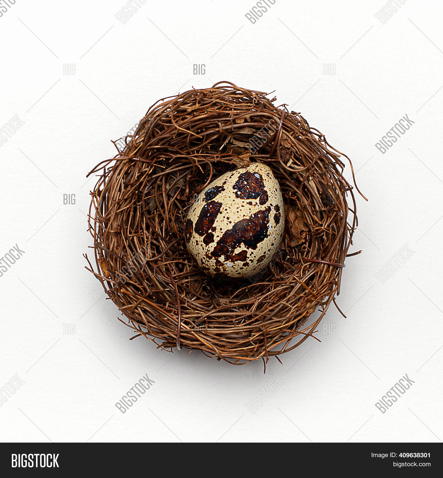 Small Beige Quail Egg Image & Photo (Free Trial) | Bigstock