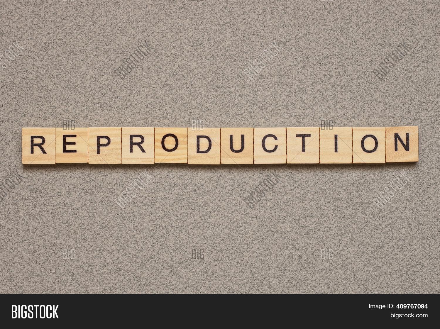 Text Word Reproduction Image & Photo (Free Trial) | Bigstock