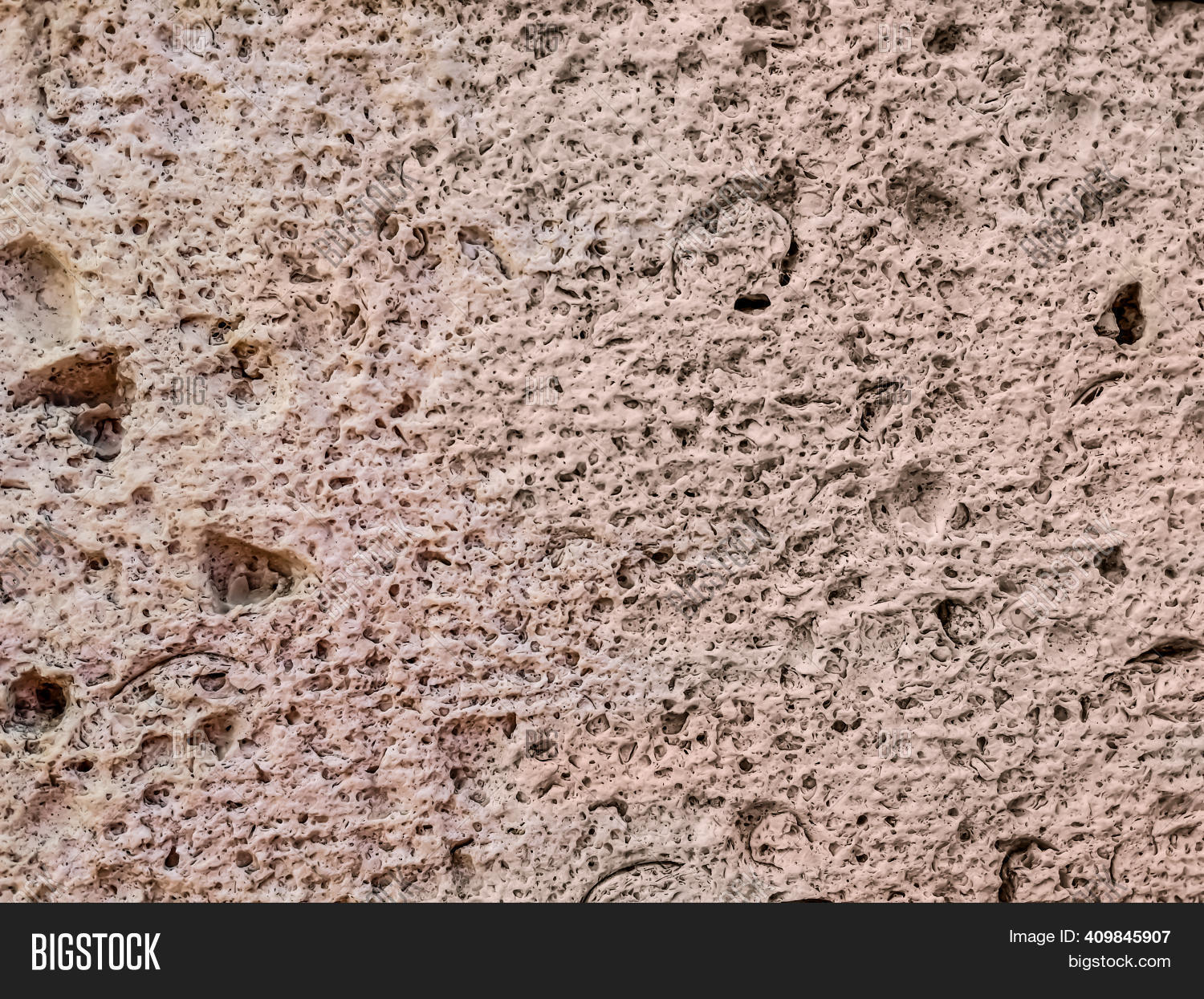 Porous Light Beige Image & Photo (Free Trial) | Bigstock