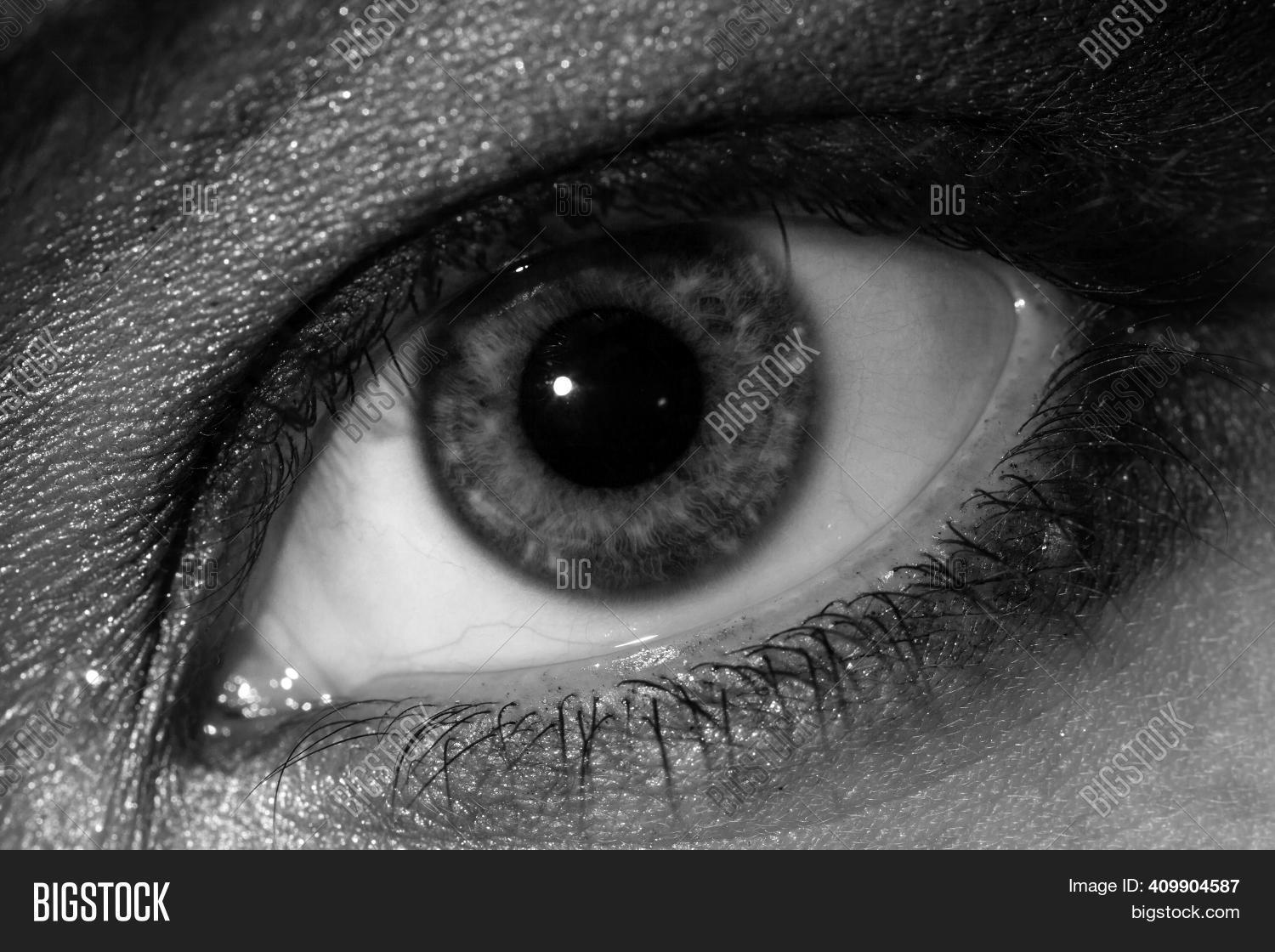 Beautiful Insightful Image & Photo (Free Trial) | Bigstock