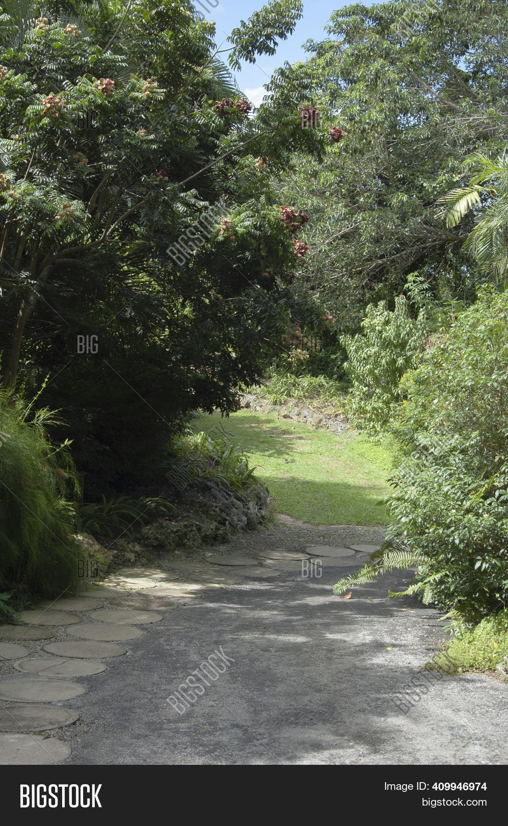 Laneway Background Image & Photo (Free Trial) | Bigstock