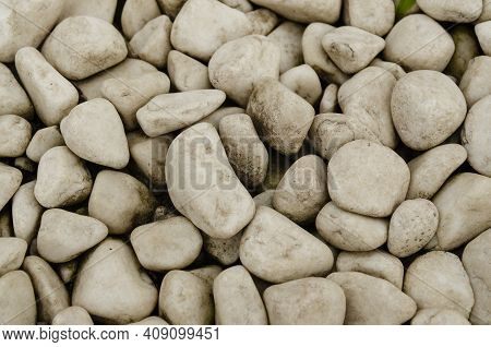 White Pebble On Small Image & Photo (Free Trial) | Bigstock