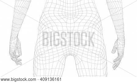 Wireframe Female Body Vector & Photo (Free Trial) | Bigstock