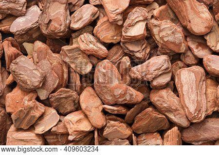 Pine Bark, Top View. Image & Photo (Free Trial) | Bigstock