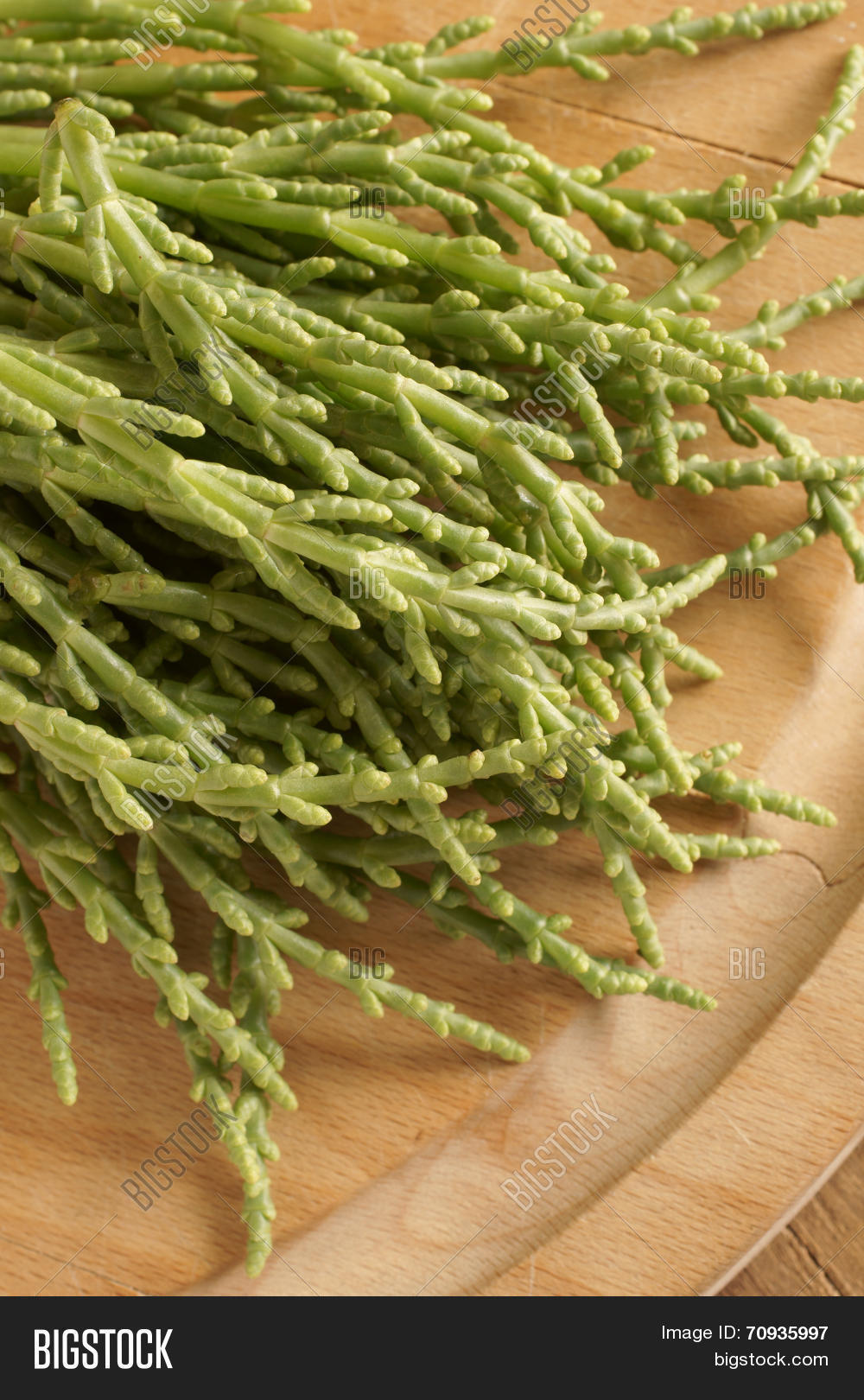 Samphire Image & Photo (Free Trial) | Bigstock