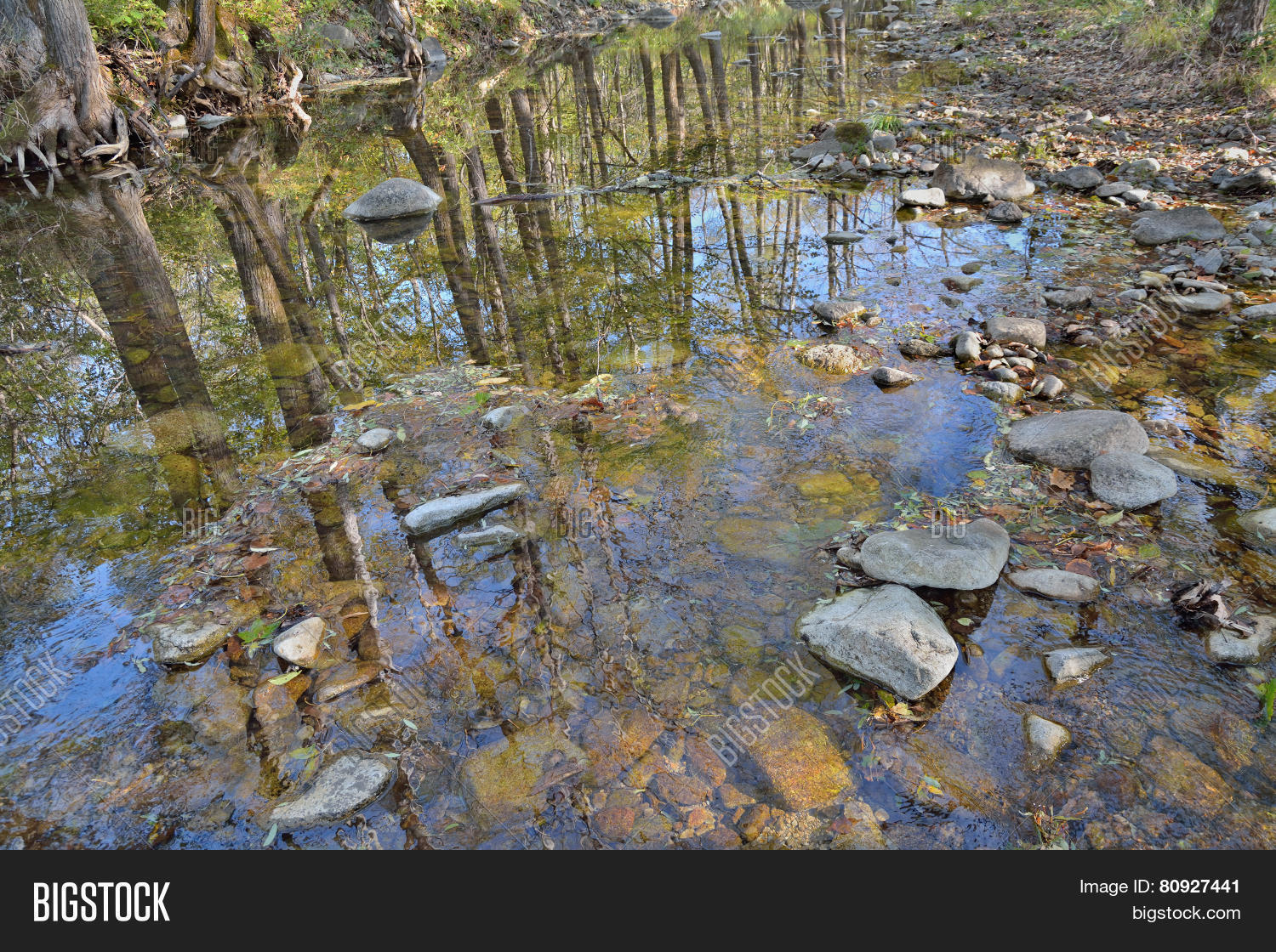 Reflection On River Image & Photo (Free Trial) | Bigstock