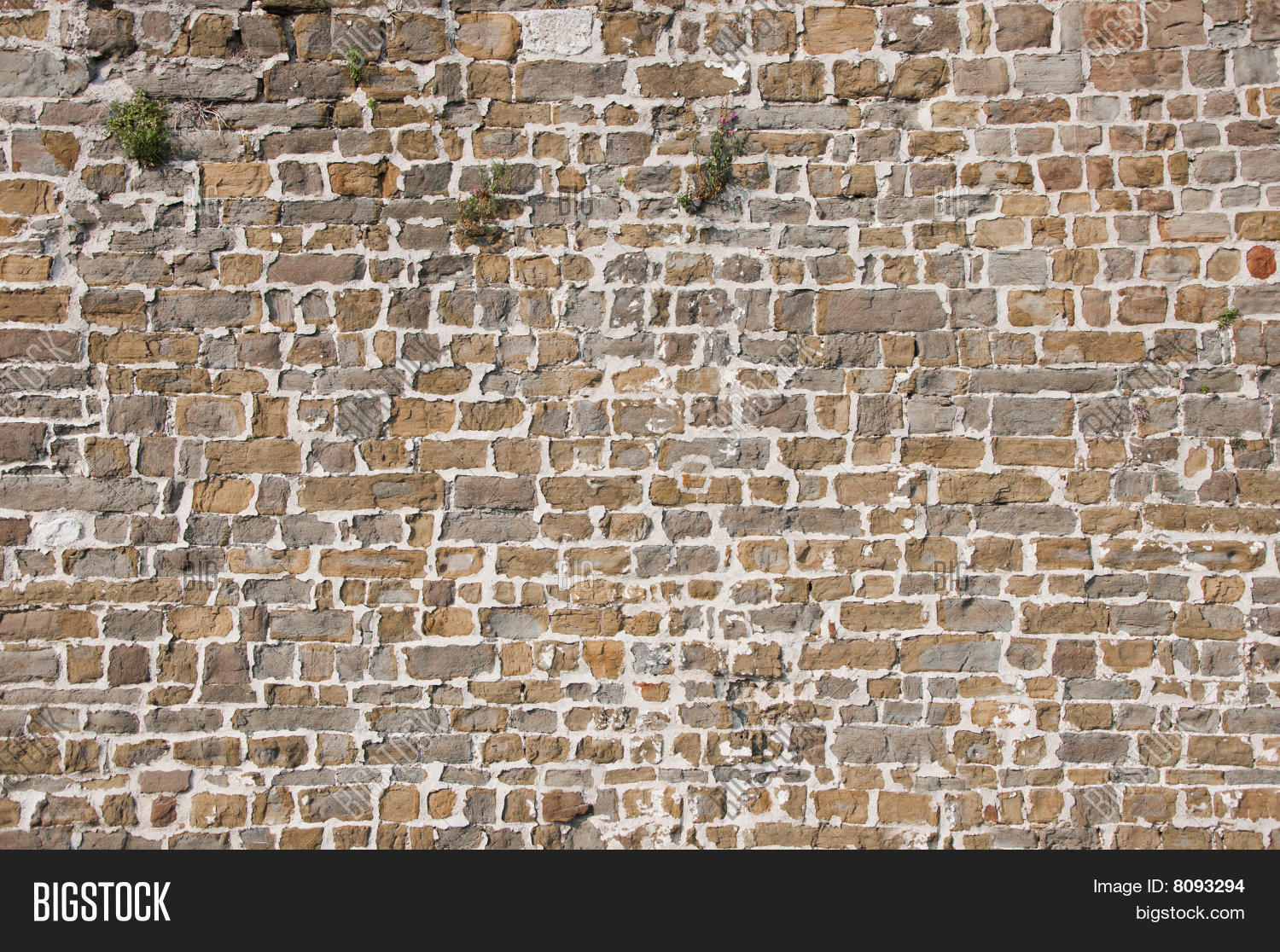 Castle Wall Texture Image & Photo (Free Trial) | Bigstock