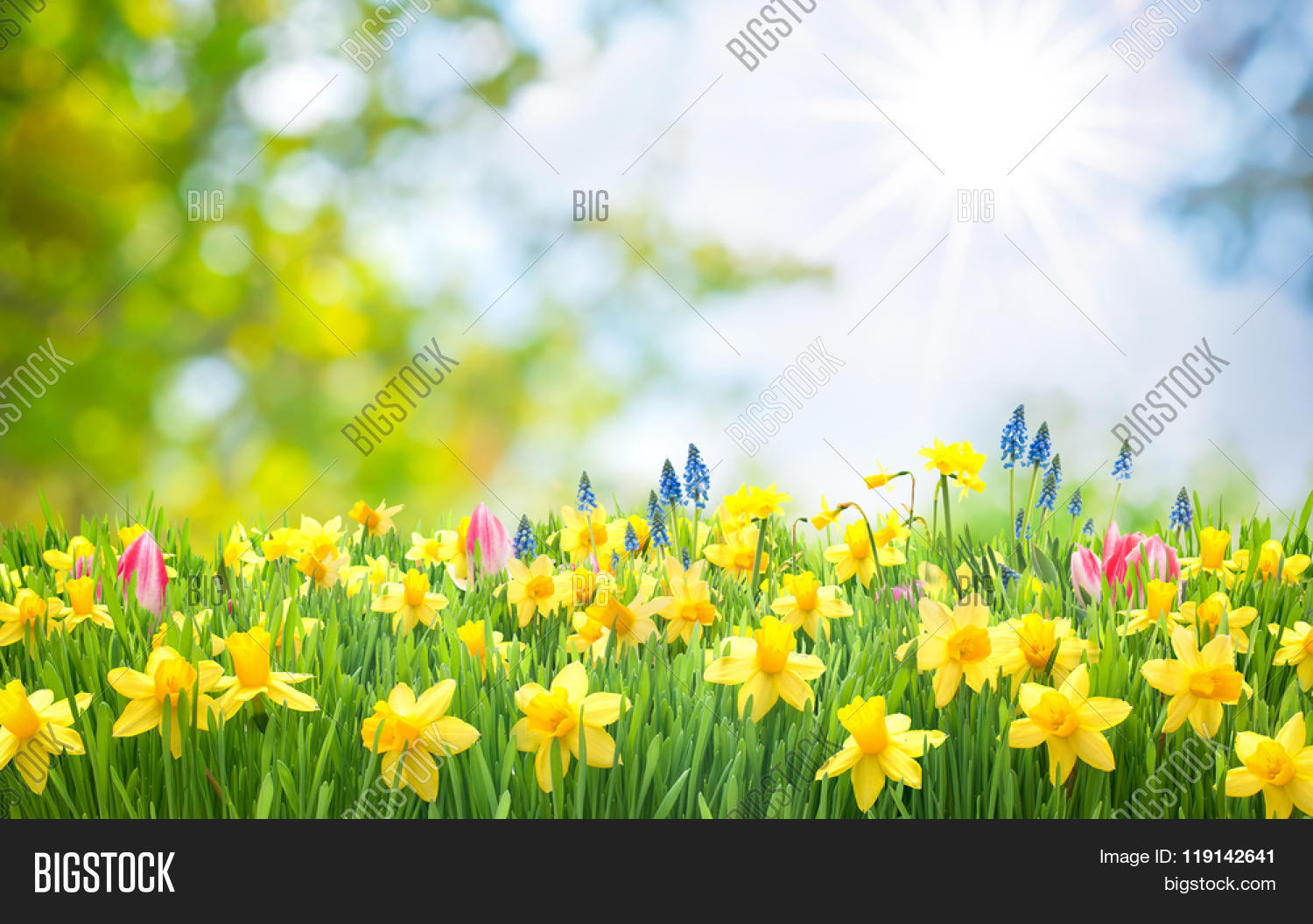 Spring Easter Image & Photo (Free Trial) | Bigstock