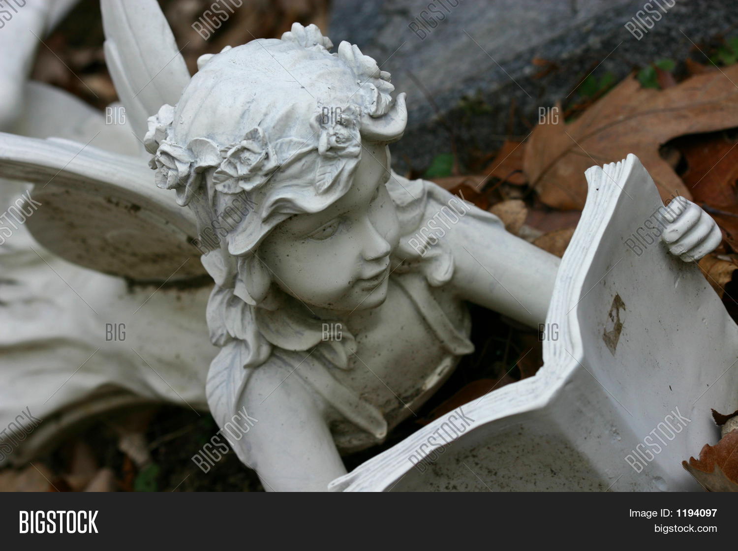 Reading Angel Image & Photo (Free Trial) | Bigstock